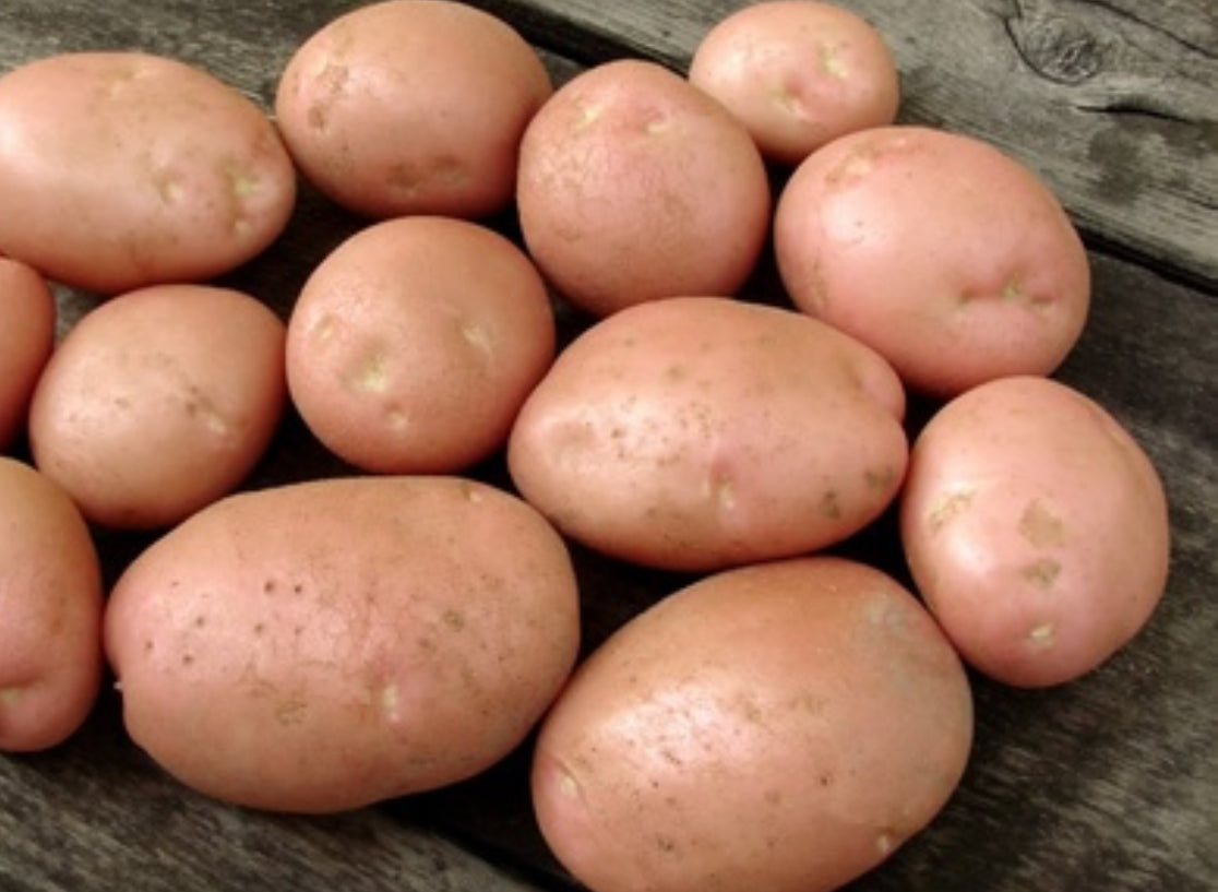 Potatoes - Kerrs Pink – Farmford & Co